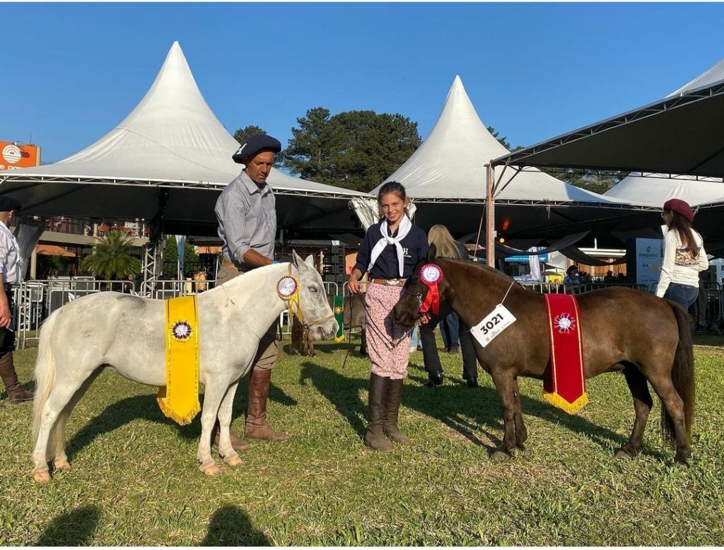 Resultados da EXPOINTER Esteio/RS 2023 - Mini Pônei SP